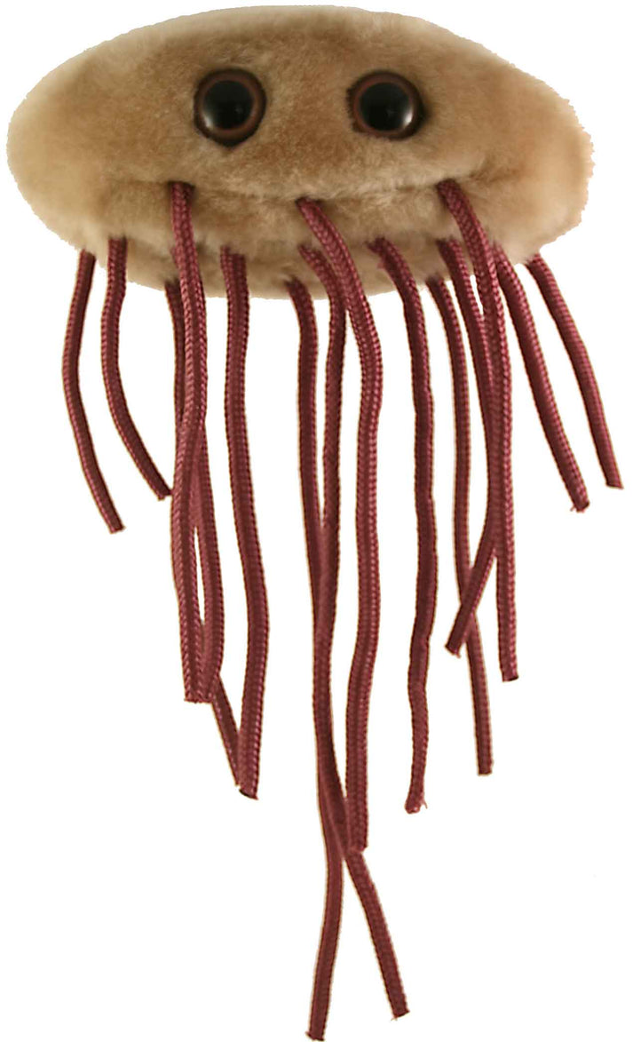 Giant Microbes Plush - E. Coli (Escherichia Coli) – Knick Knack Toy Shack