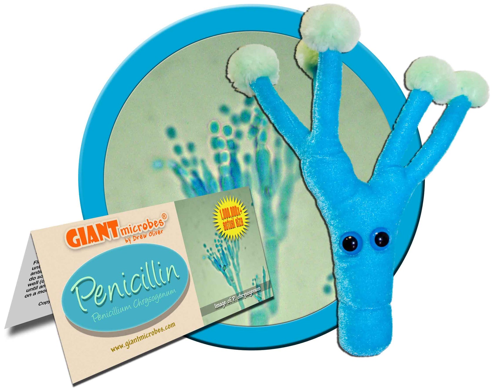 Giant Microbes Plush - Penicillin (Penicillium Chrysogenum) – Knick ...