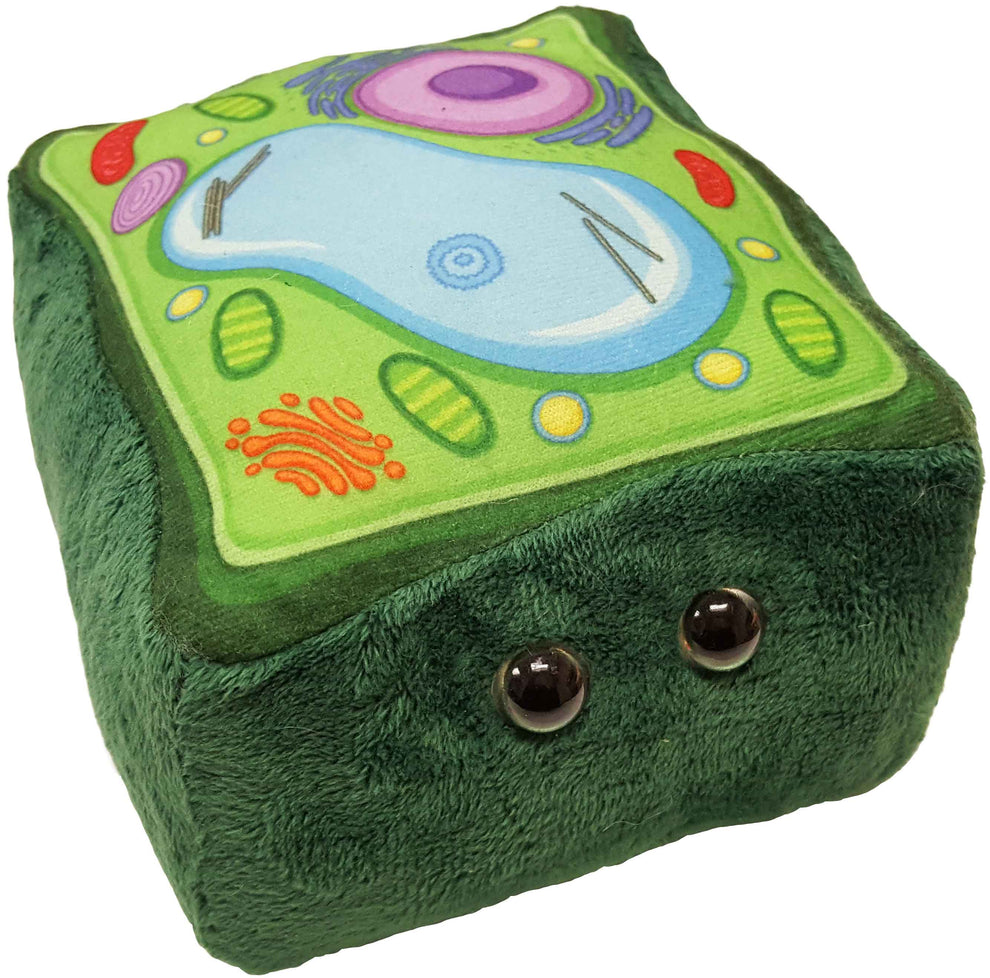 Giant Microbes Plush - Plant Cell – Knick Knack Toy Shack