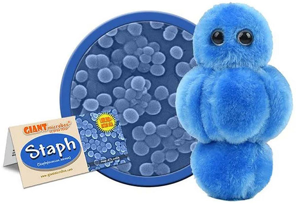 Giant Microbes Plush - Staph - Staphylococcus-Aureus – Knick Knack Toy ...